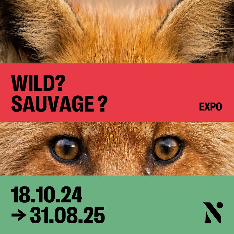 KBIN | FWI | Jaarverslag 2024 | Belspo