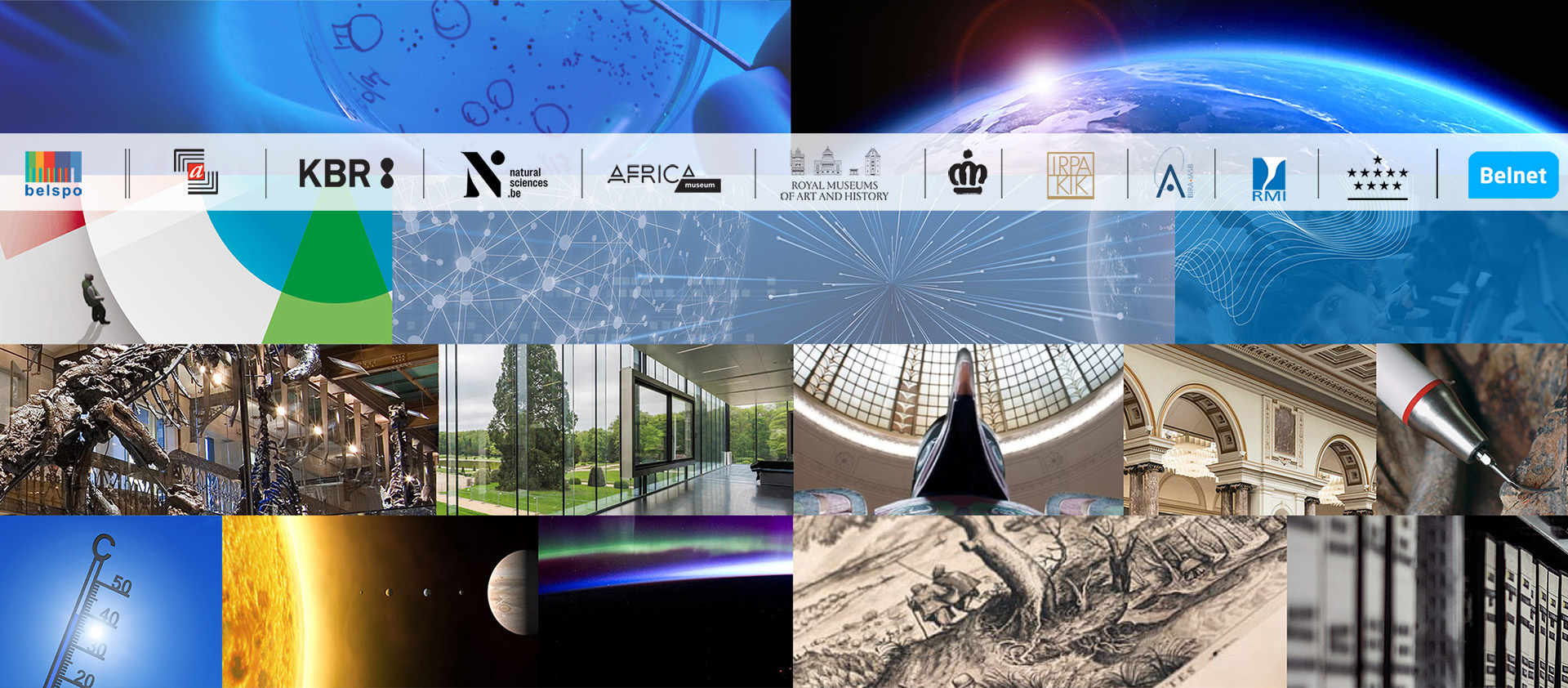 KBIN | FWI | Jaarverslag 2024 | Belspo